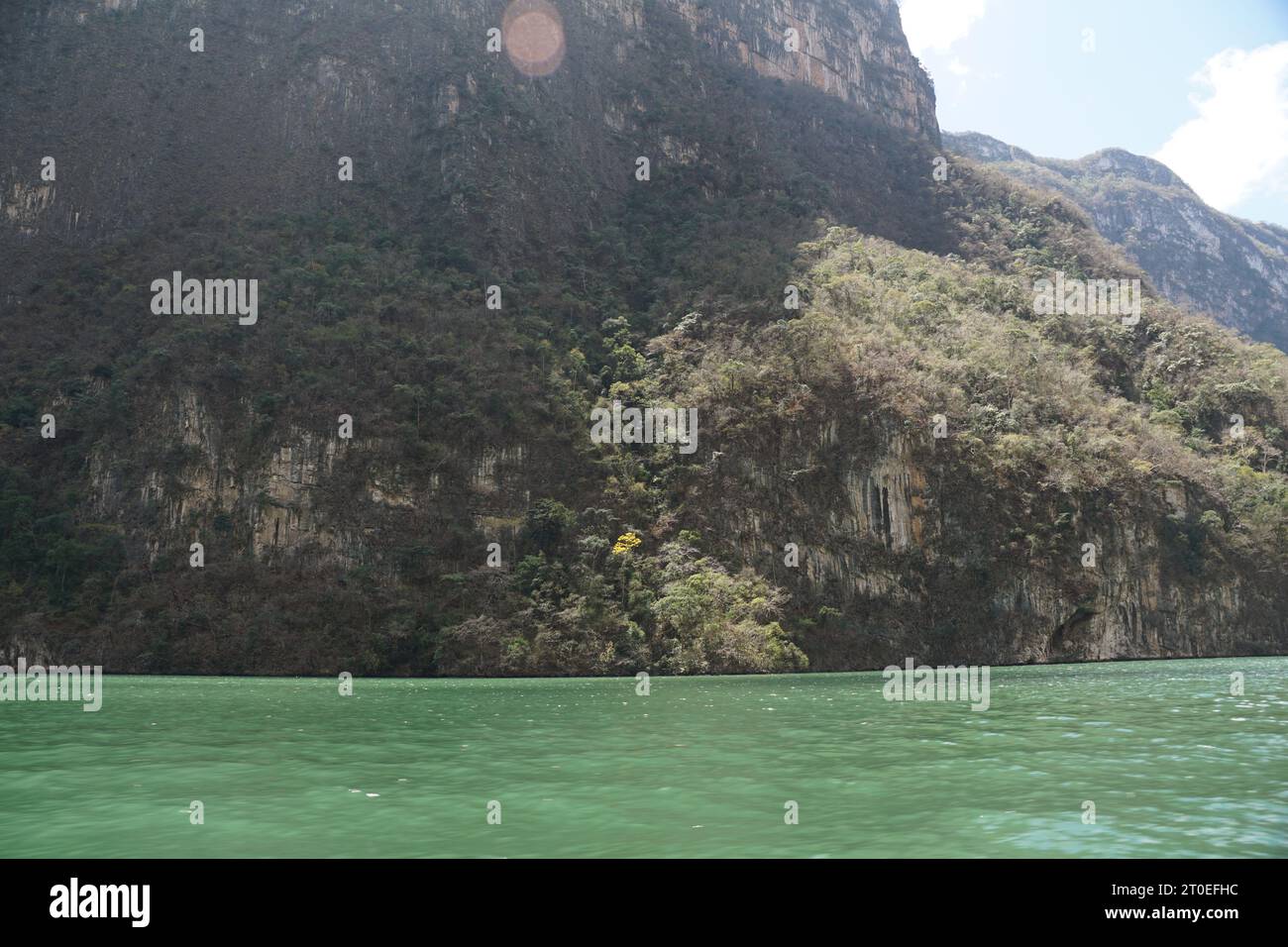 Grijalva river, jungle, vegetation, mountains, cliffs, sumidero canyon ...