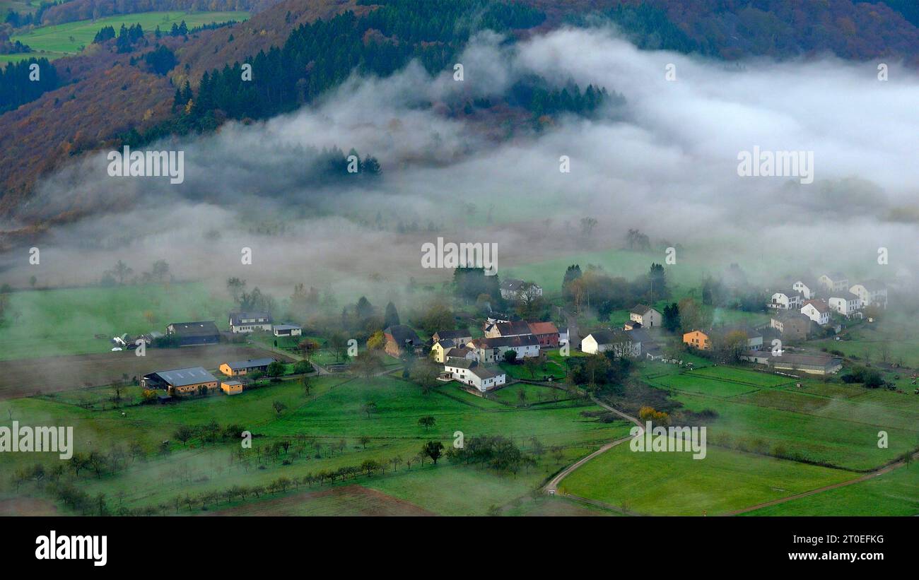 Taben hamm with fog in autumn hi-res stock photography and images - Alamy