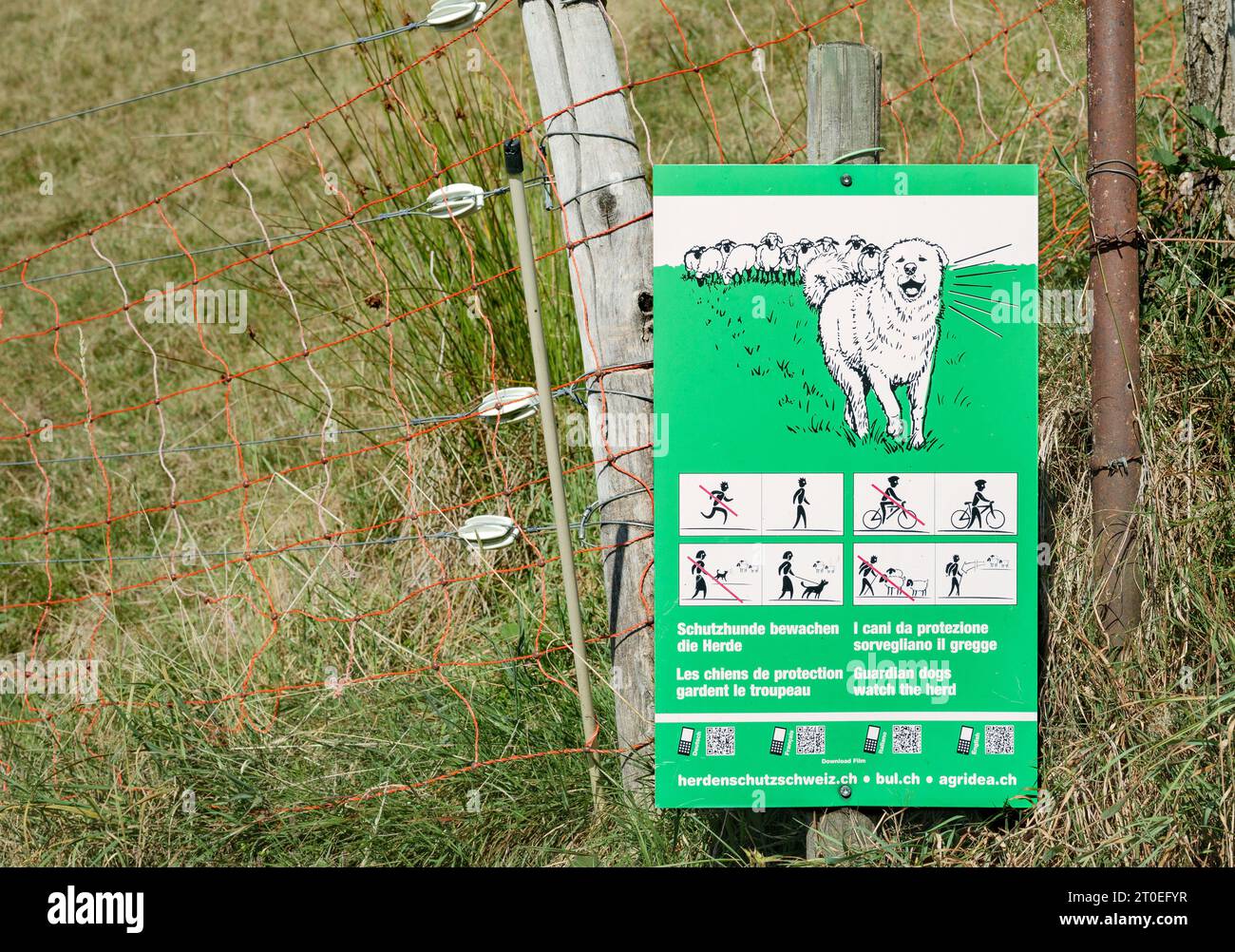 Herd guarding dogs sign. Rules and illustrations in German, French ...