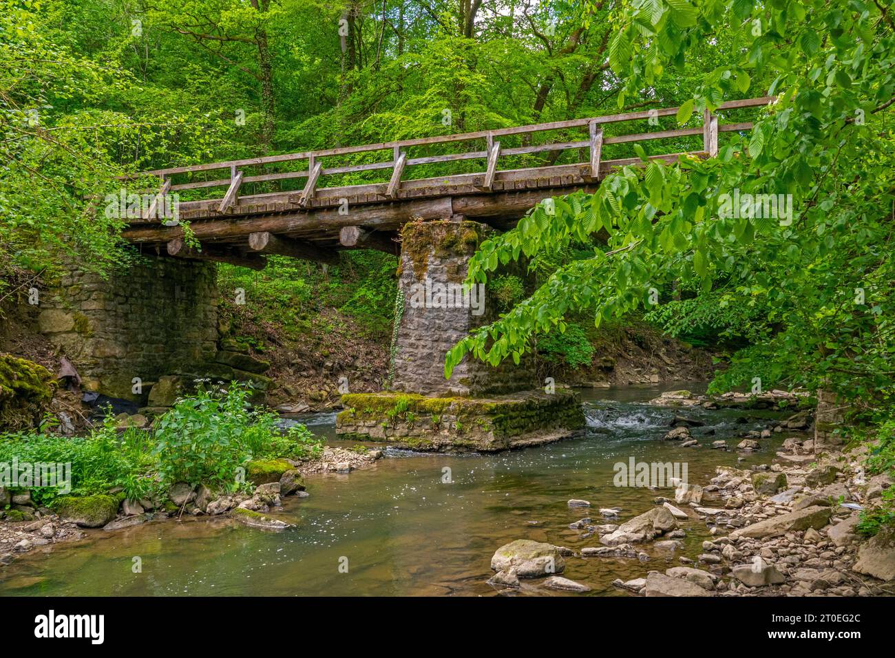 Bridge over the river Syr at the hiking trail Mantenacher Fiels ...