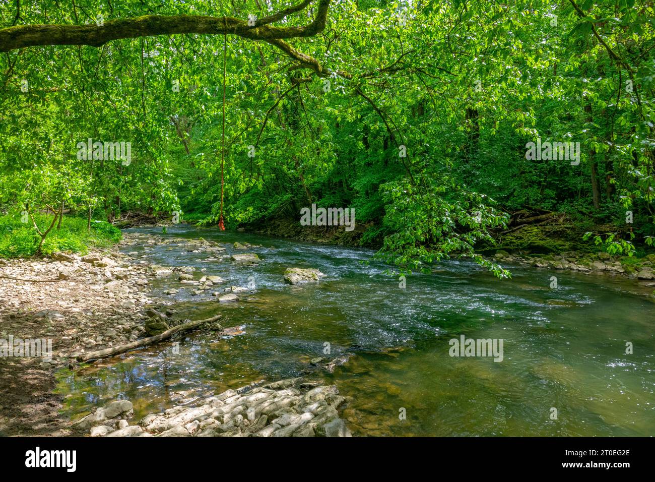 River Syr on the hiking trail Mantenacher Fiels, Manternach, Luxembourg ...