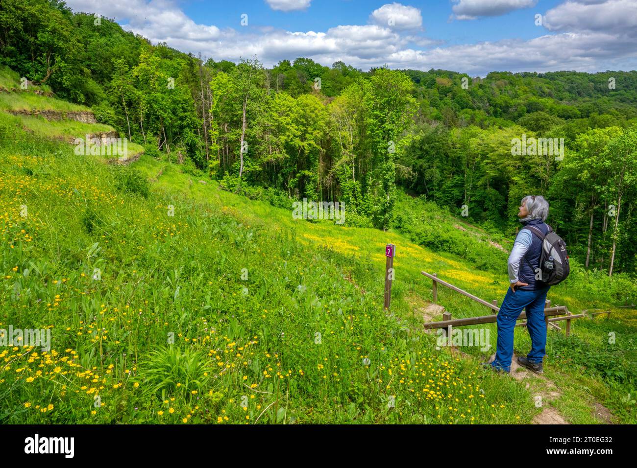 Former Manternach vineyards on the hiking trail Mantenacher Fiels ...