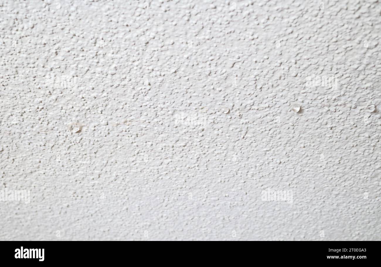 Ceiling with water drops from water active water leak. White popcorn ...