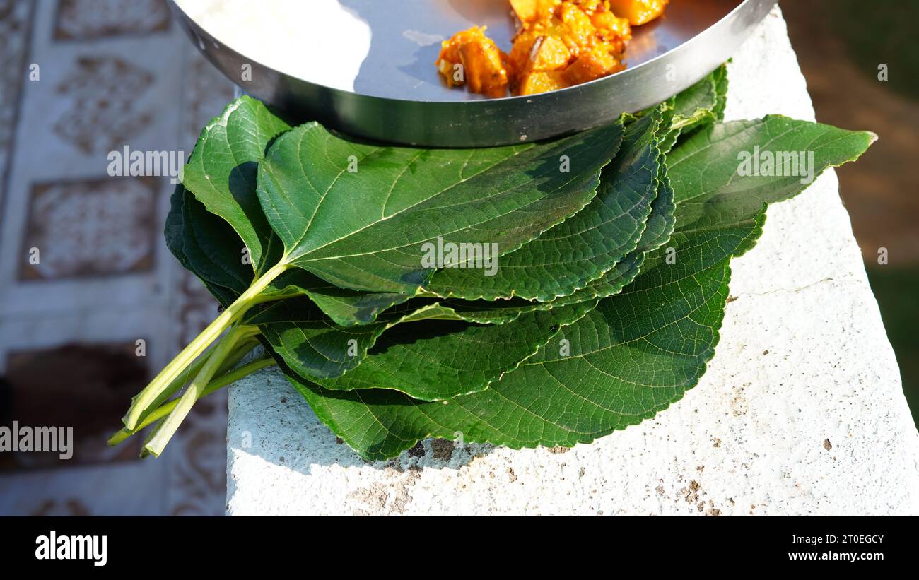 Hindu religious man offering food placed on a green leaf during a Hindu ...