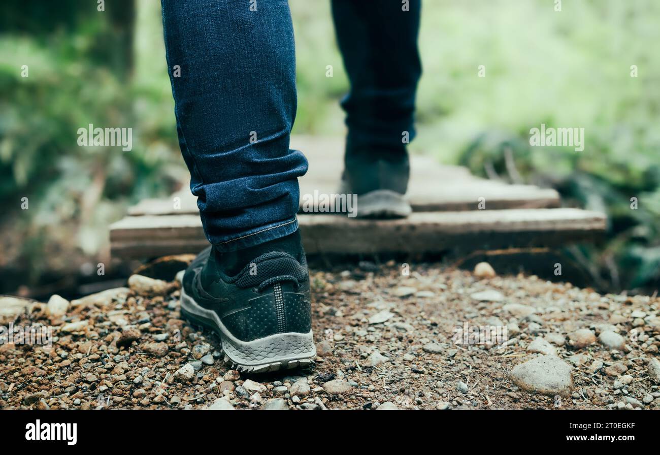 Back view of hiker in forest, close up. Low angle view of woman walking ...