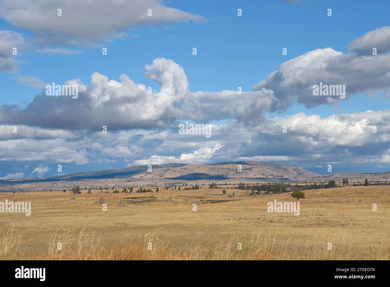 Clouds form over Central Oregon. One group of clouds form an ocean wave ...