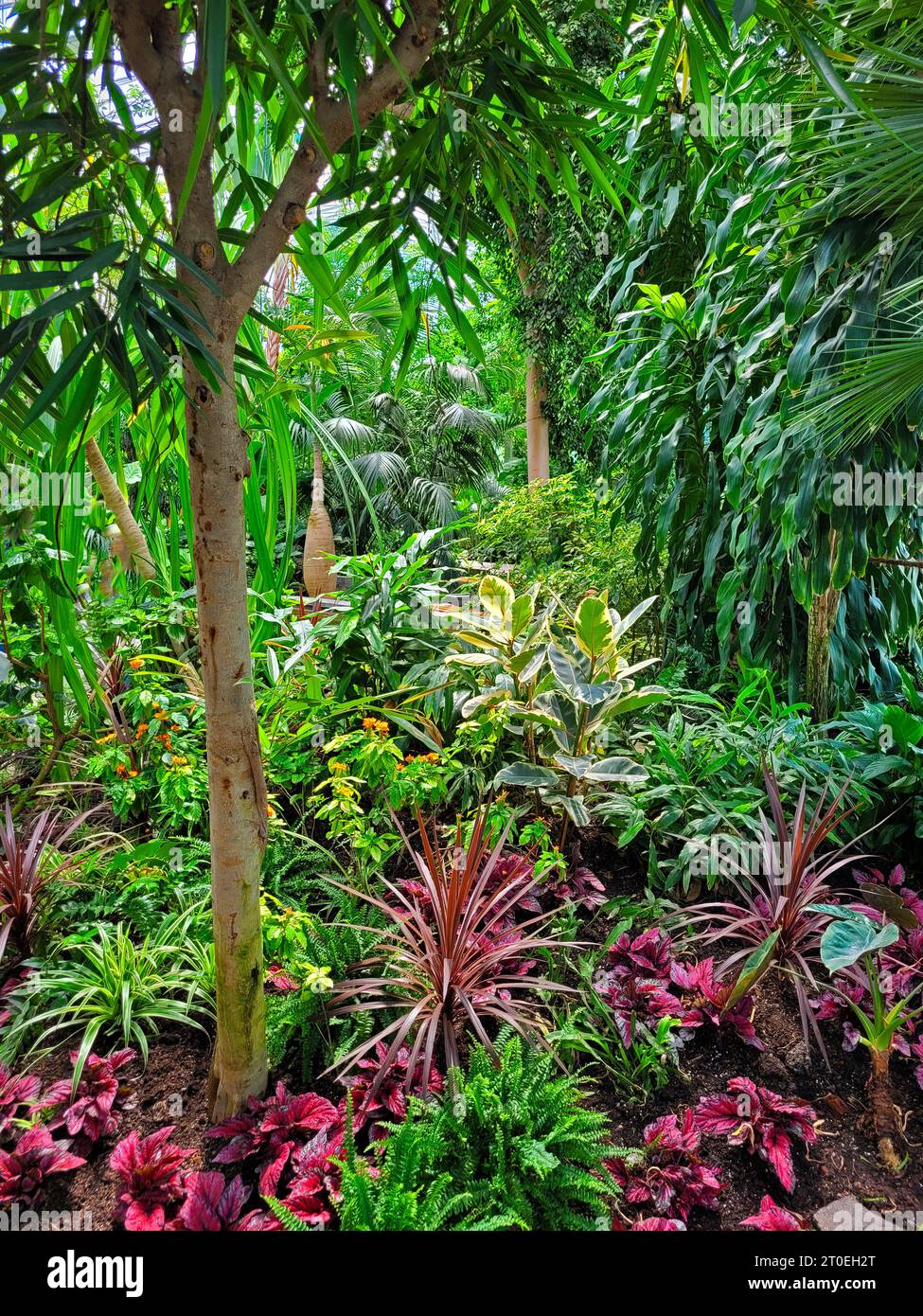 Federal Horticultural Show BUGA 23, Tropical House, Luisenpark ...