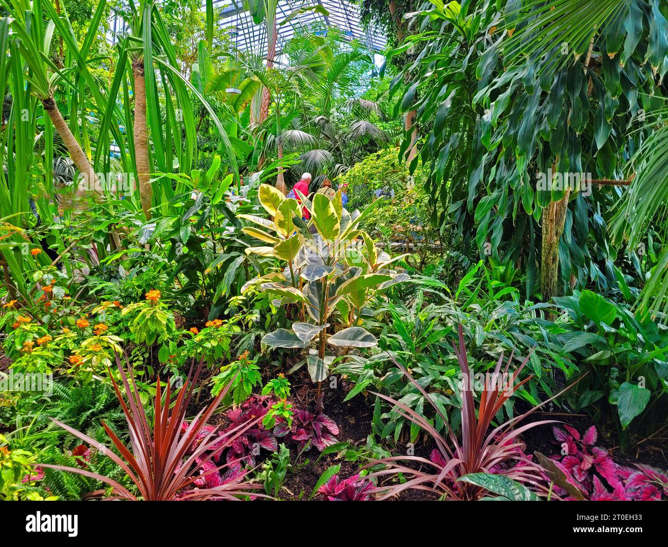 Tropical house hi-res stock photography and images - Alamy