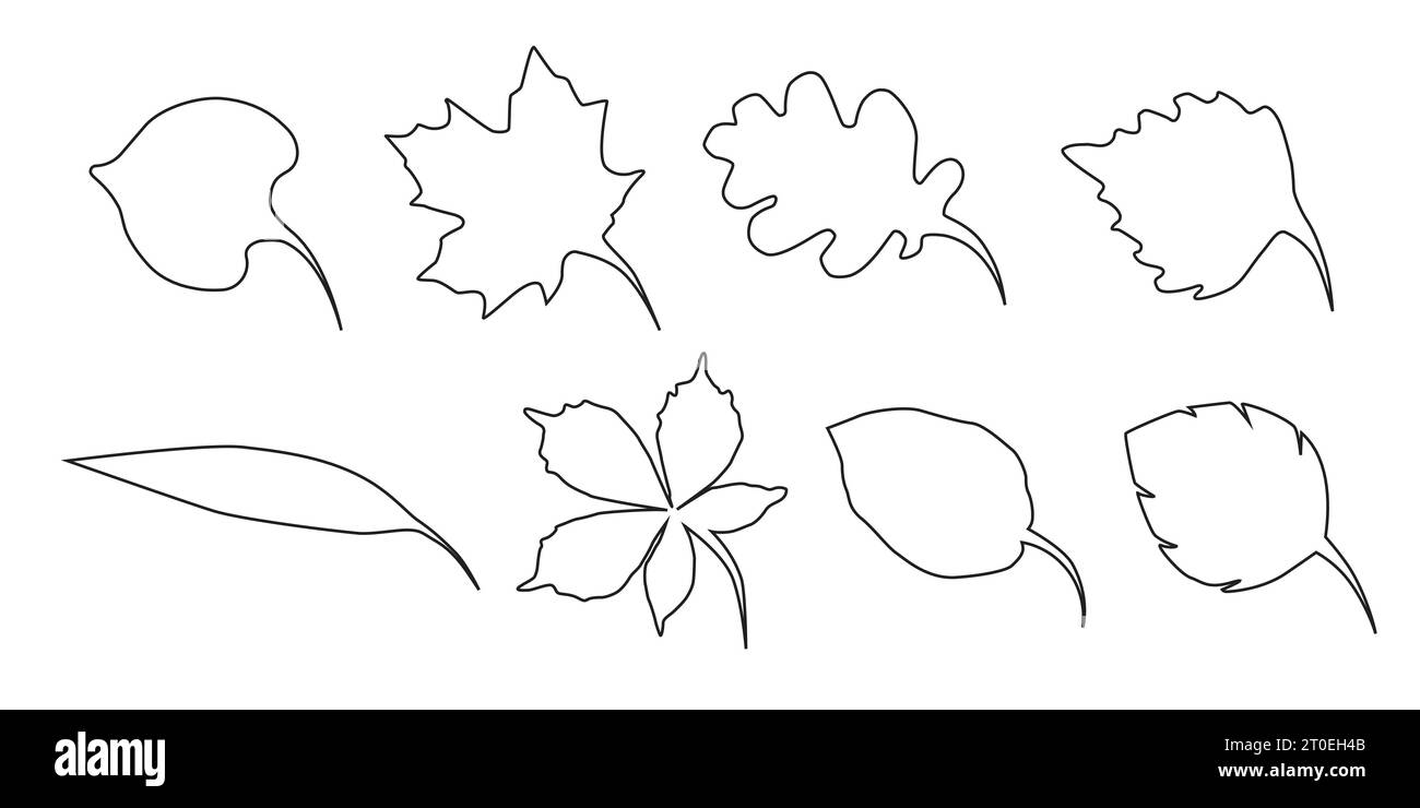 Texting quote blank template boxes, design boxes in the shape of leaves ...