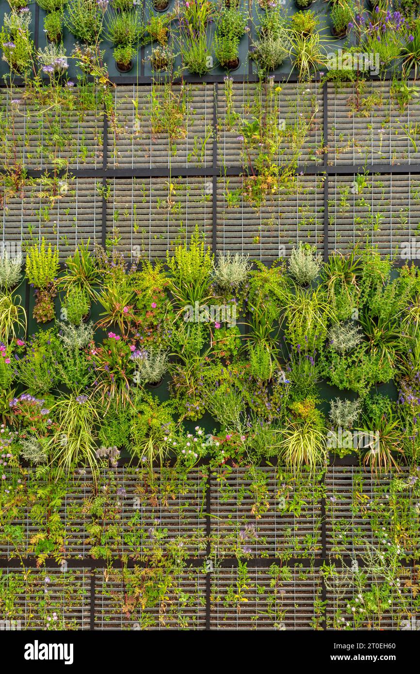 Federal Horticultural Show BUGA 23, Spinelli Park, wall greening ...