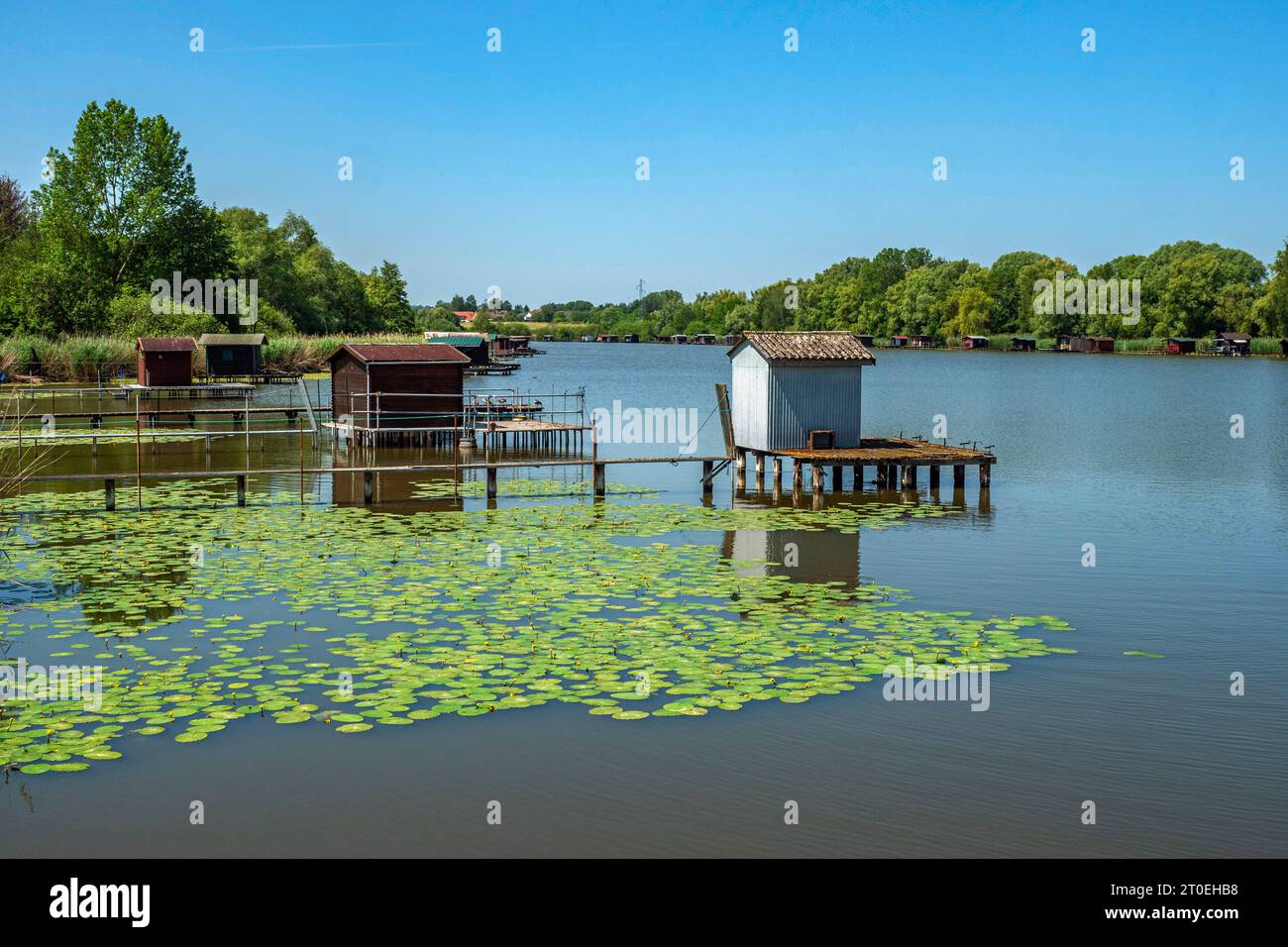 Hoste bas hi-res stock photography and images - Alamy
