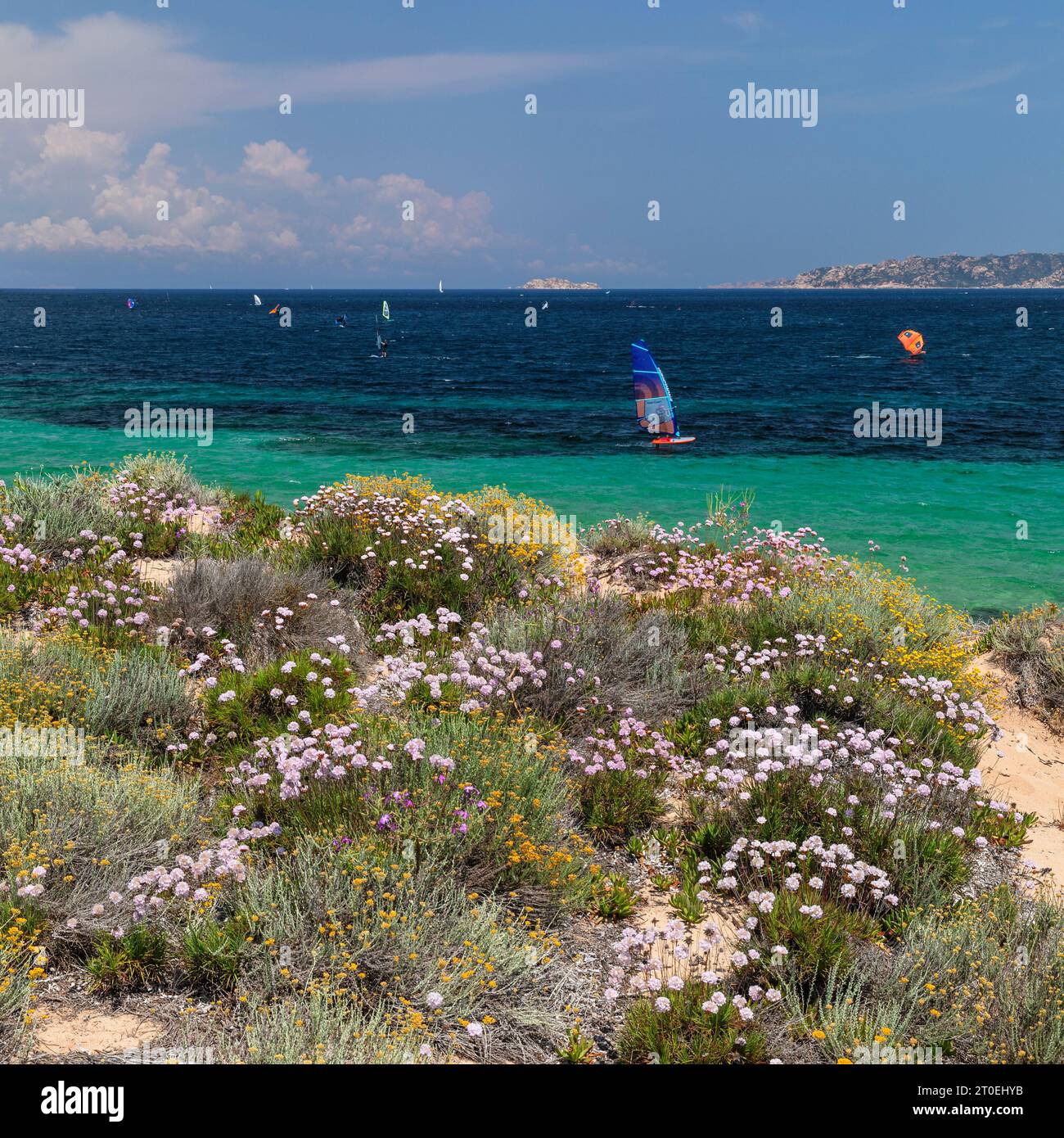 Porto pollo hi-res stock photography and images - Alamy