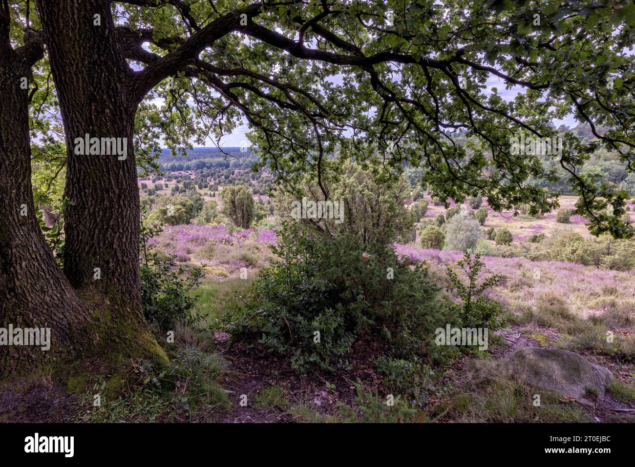View from a hill down to the stony ground Stock Photo - Alamy