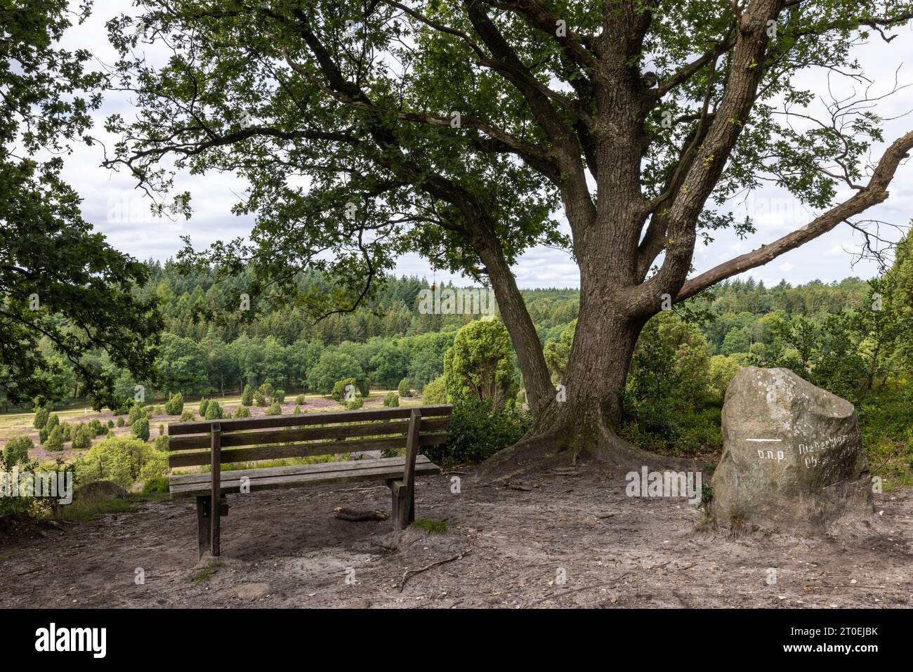 View from a hill down to the stony ground Stock Photo - Alamy
