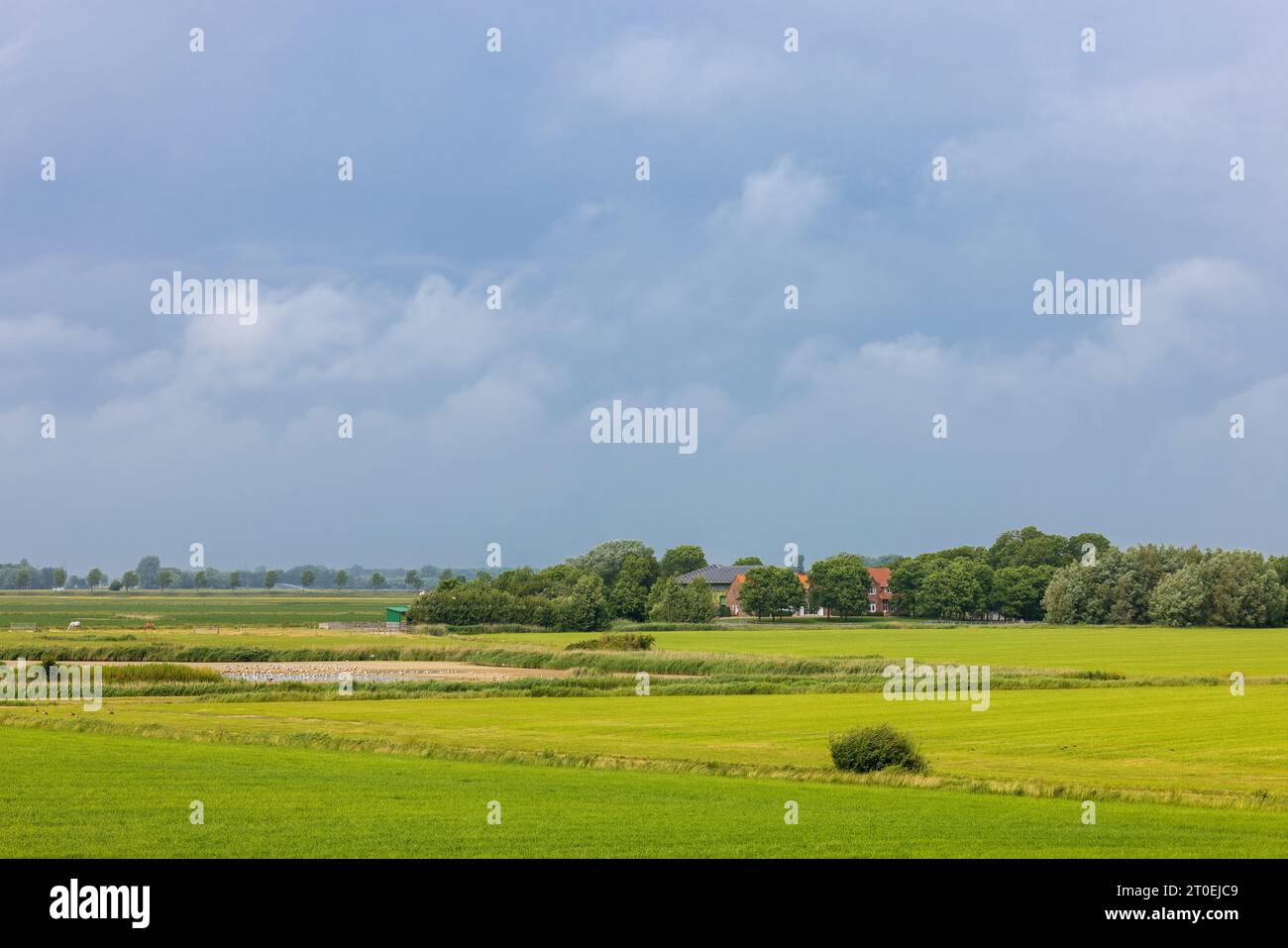 View of the inland on the peninsula Eiderstedt Stock Photo - Alamy