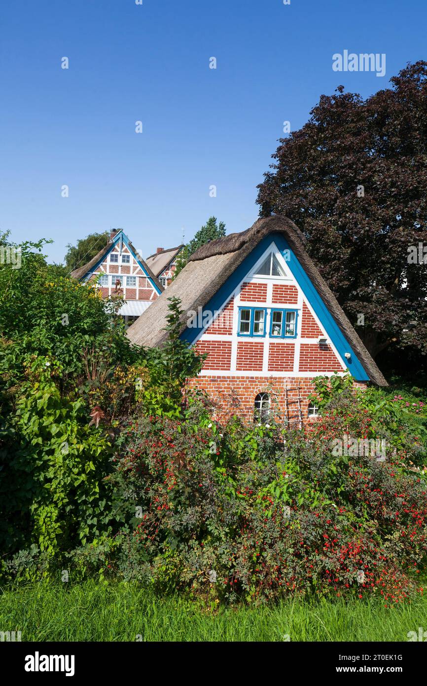 Historic half-timbered house on the dike, Steinkirchen, Altes Land ...