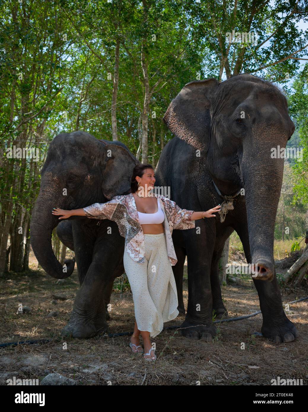 A woman in a white dress and hat stands confidently in a forest ...