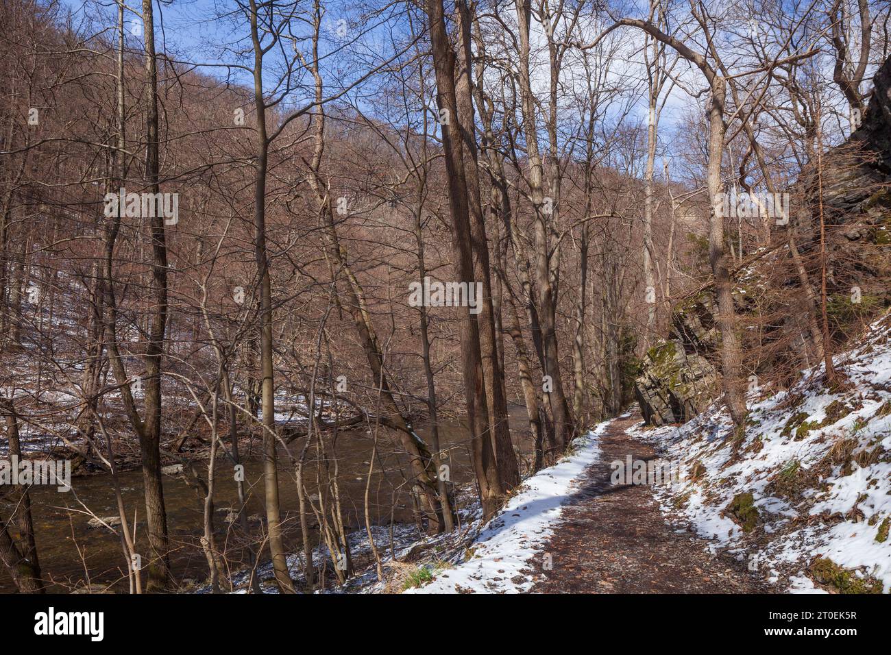 Hiking trail in the Bode valley in winter, Thale, Harz, Saxony-Anhalt ...