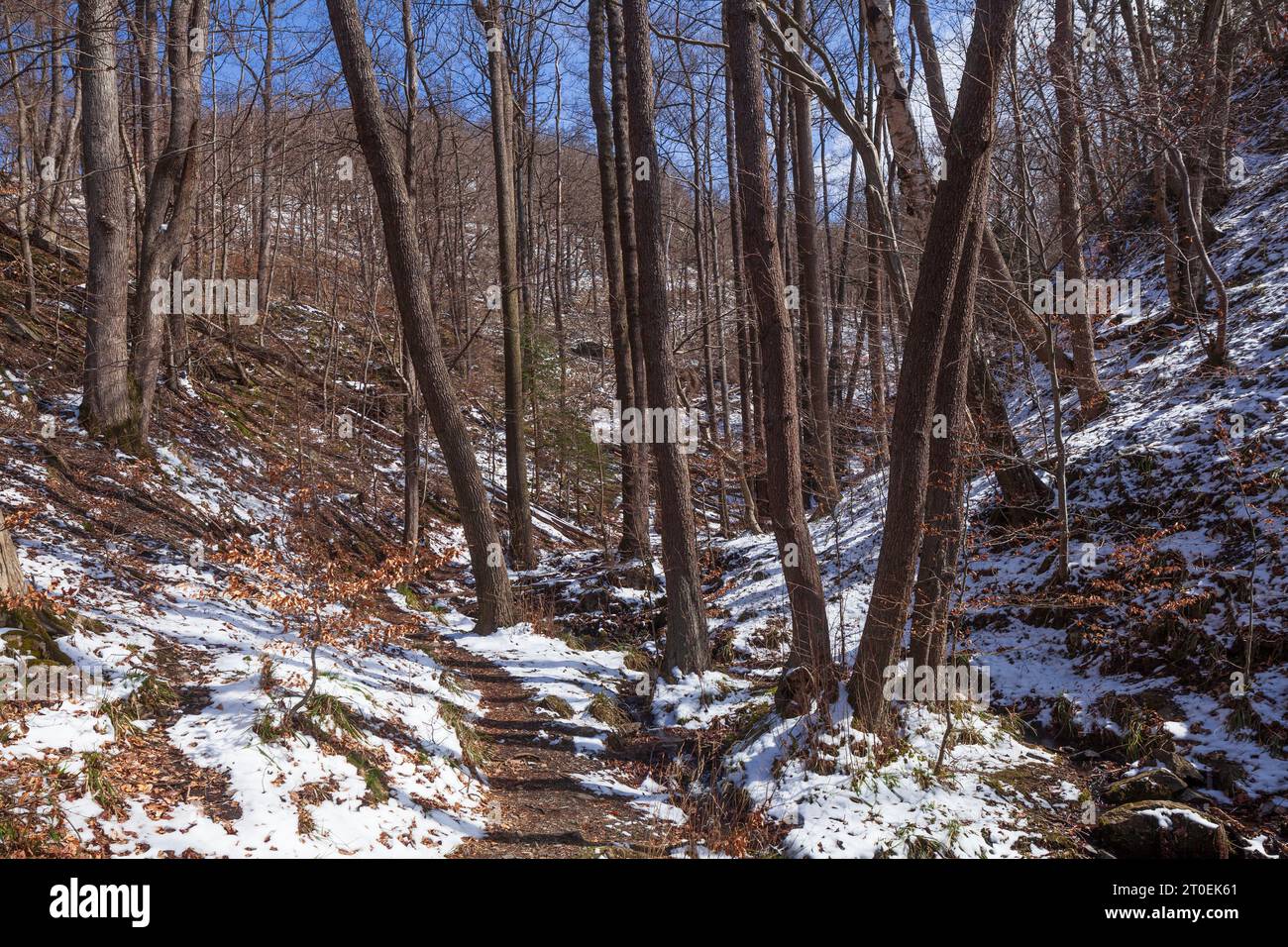Hiking trail in the Bode valley in winter, Thale, Harz, Saxony-Anhalt ...
