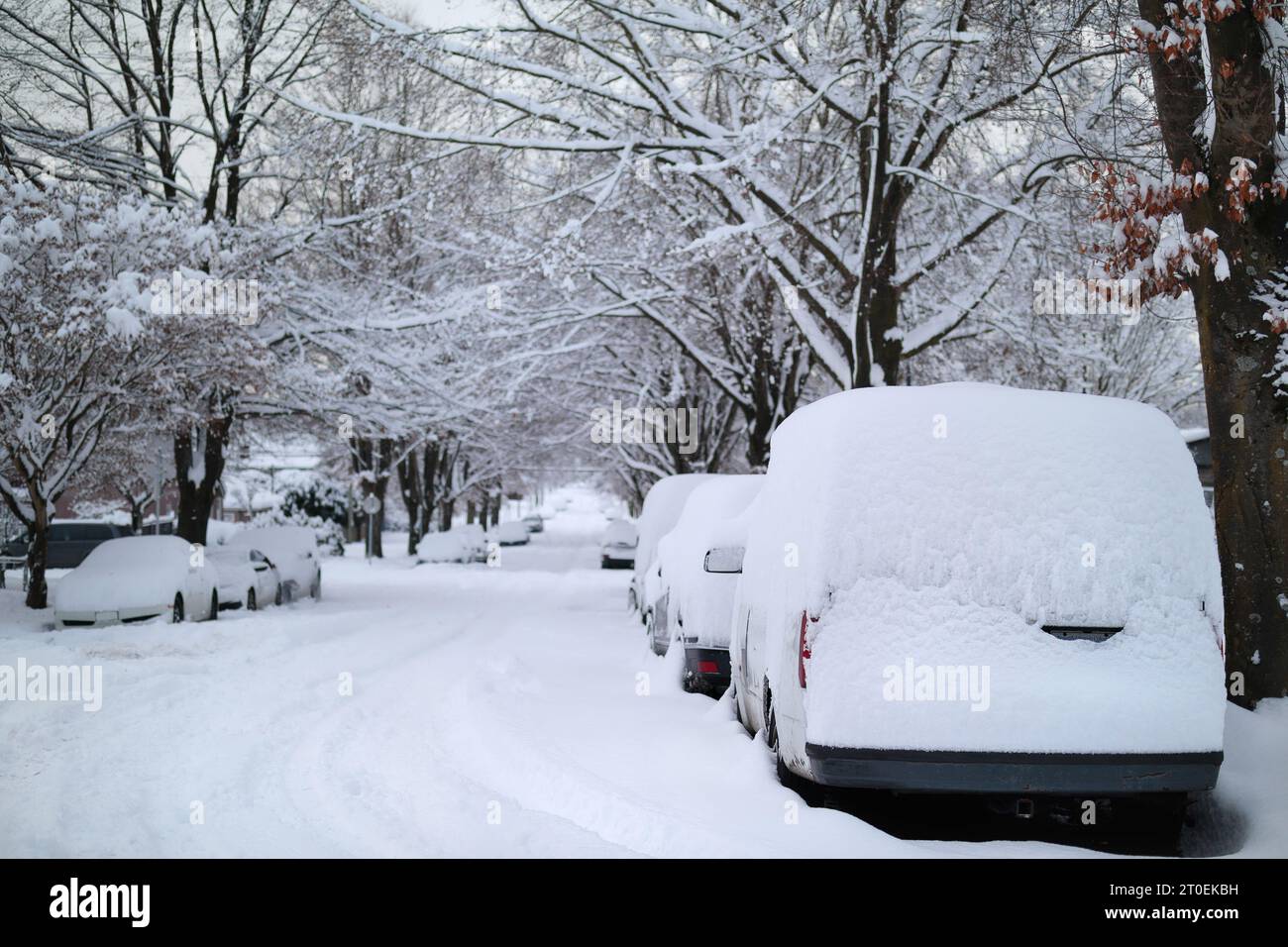 Residential street with snowed in cars and snow covered street. City ...