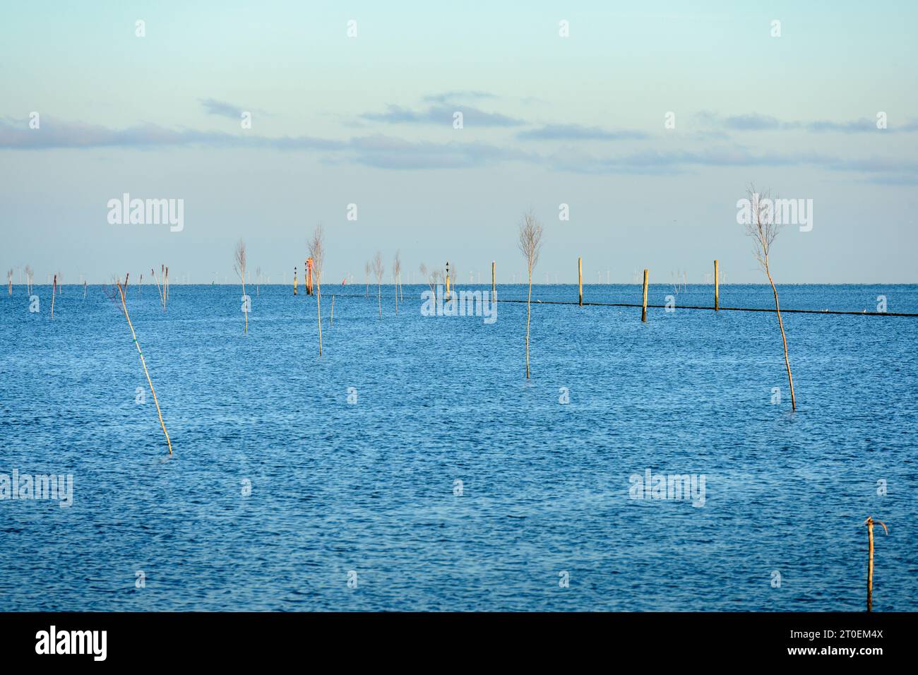 Mark fairways hi-res stock photography and images - Alamy