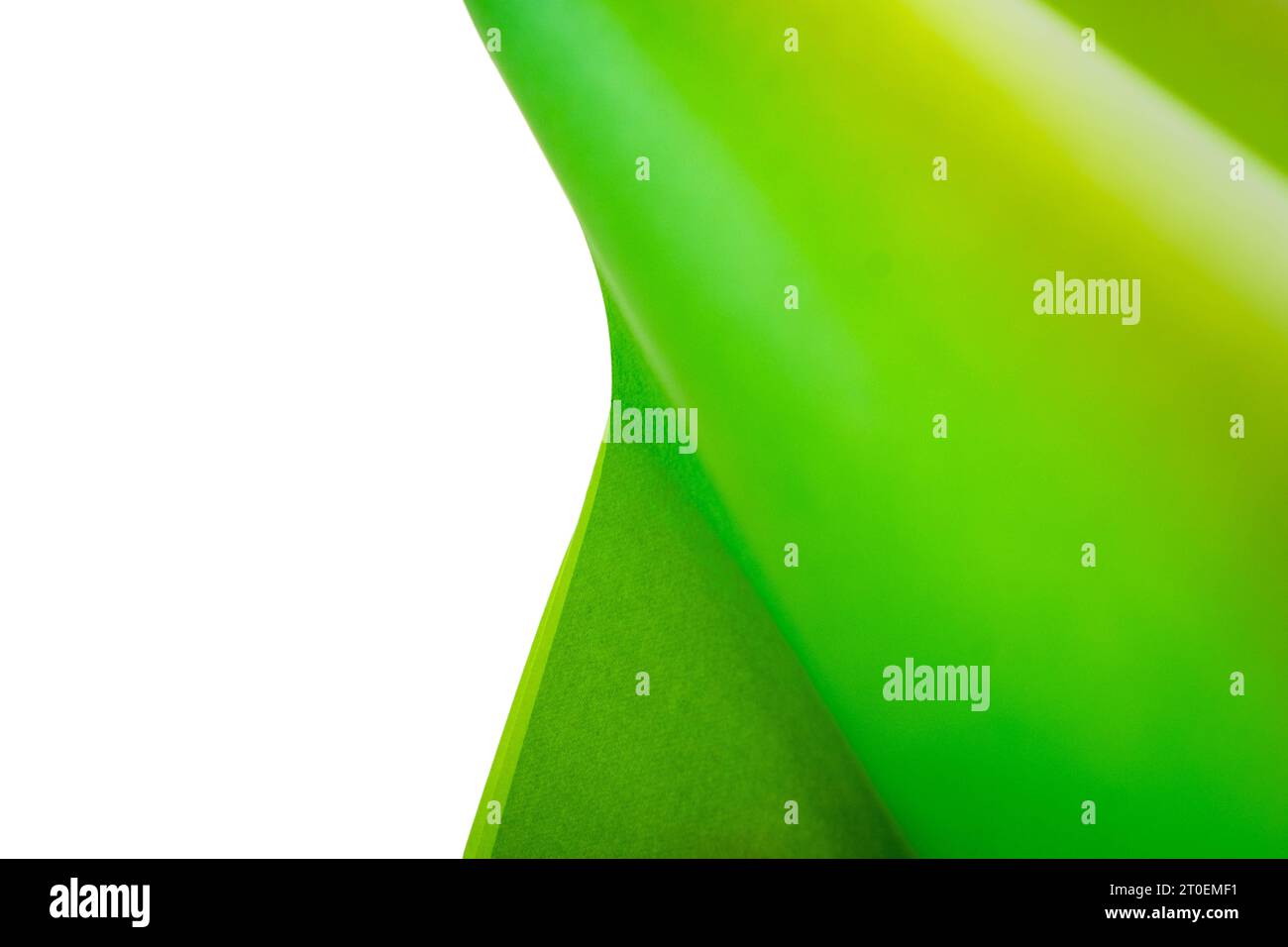 Green white curved structure hi-res stock photography and images - Alamy