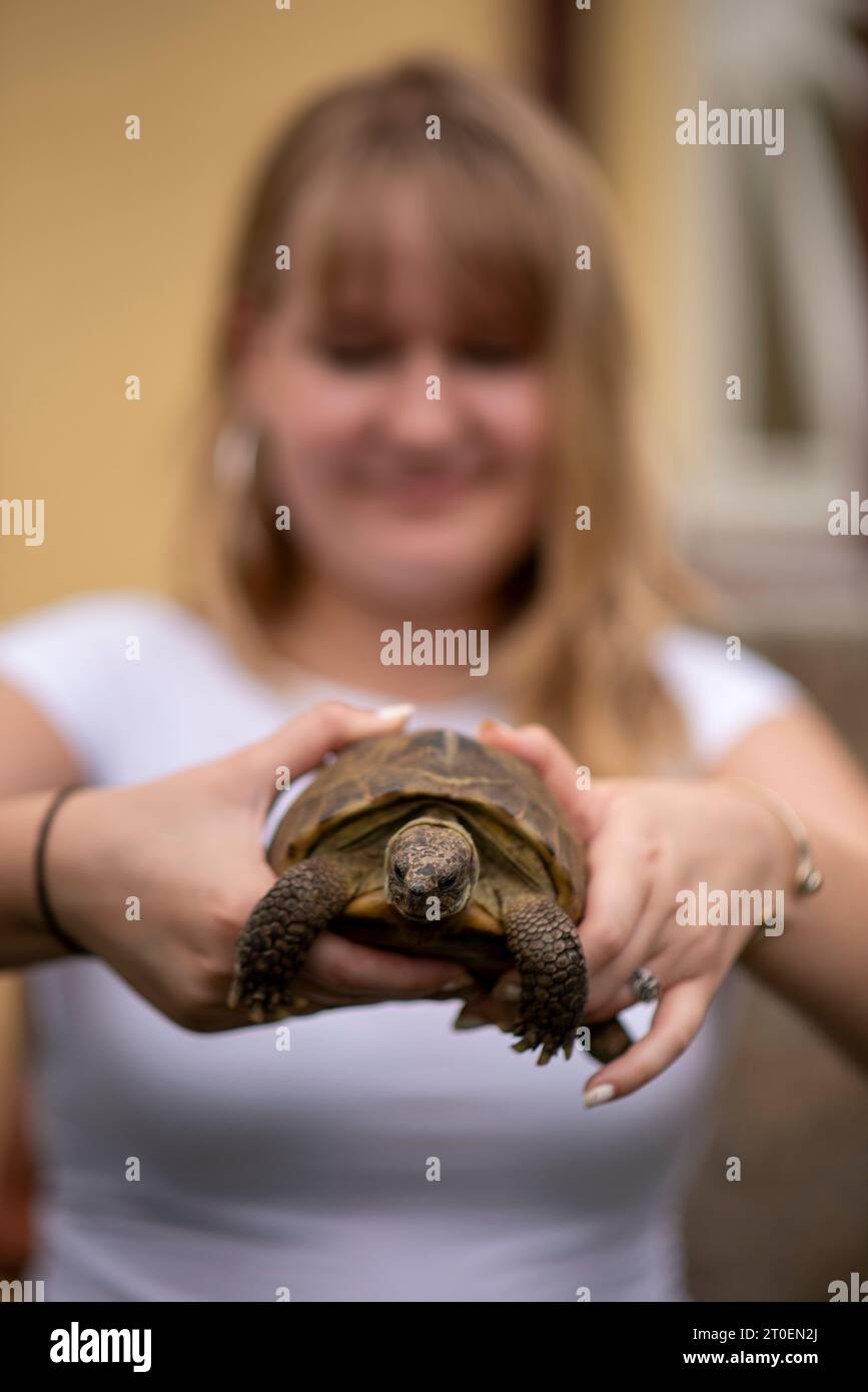 turtle, four toed turtle, young woman behind, Germany Stock Photo - Alamy