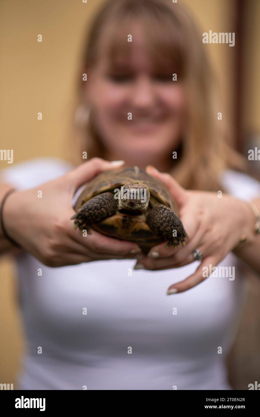 turtle, four toed turtle, young woman behind, Germany Stock Photo - Alamy