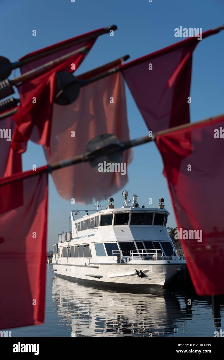 Red cage flags, behind them ferry Hiddensee, harbor of Vitte, Hiddensee ...