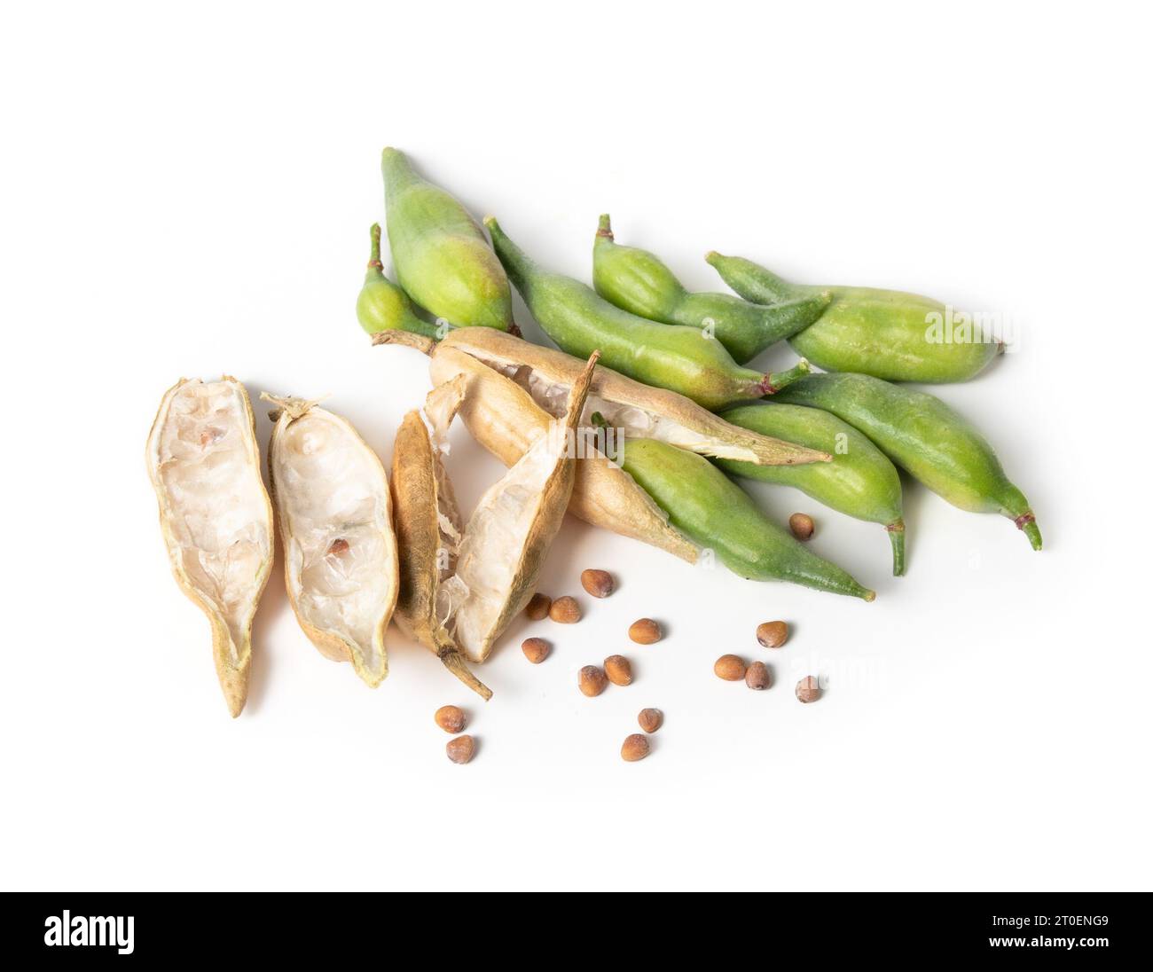 View from top multiple Cut Out Stock Images & Pictures - Alamy