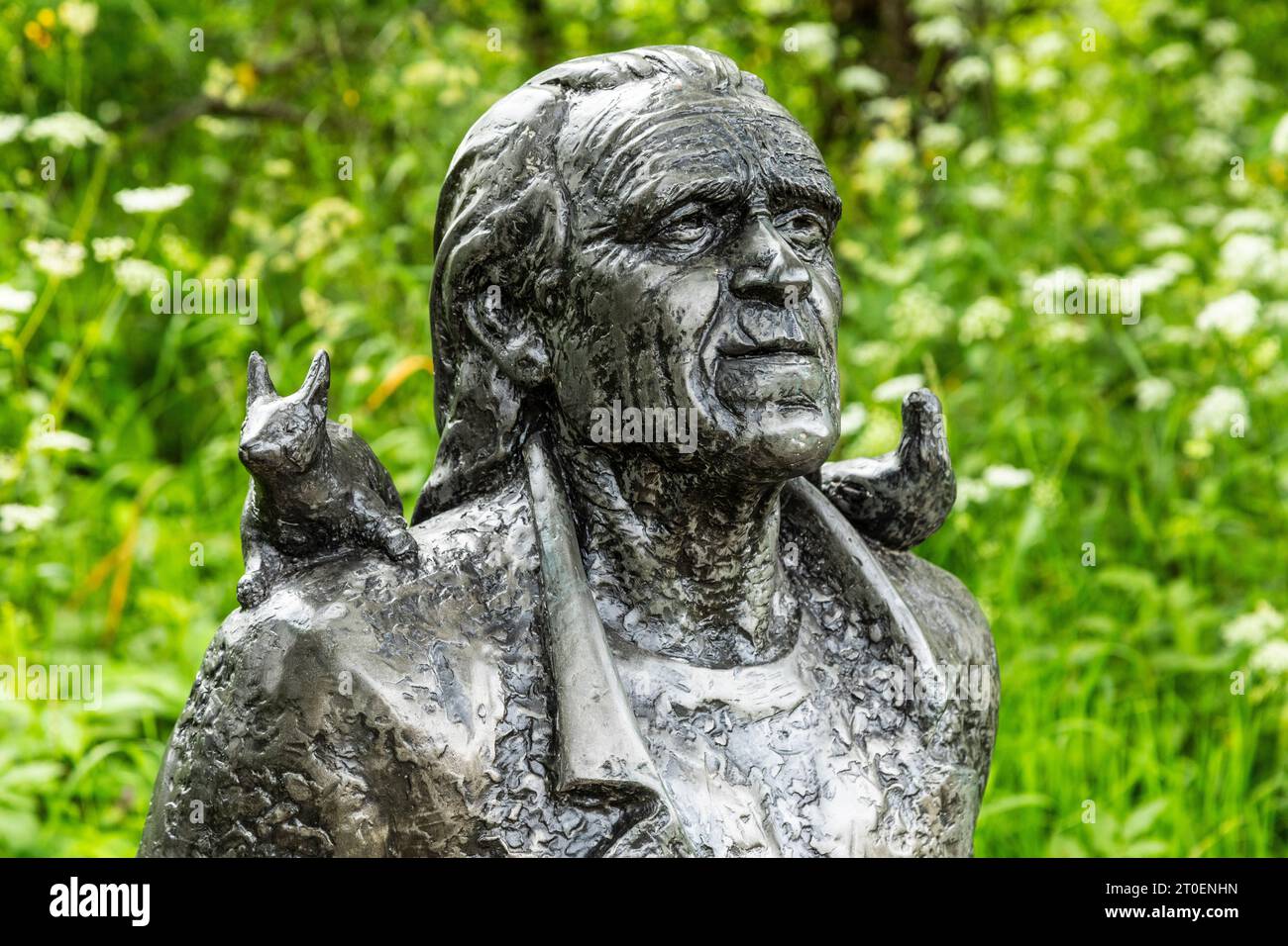 Wetlina majster bieda hi-res stock photography and images - Alamy