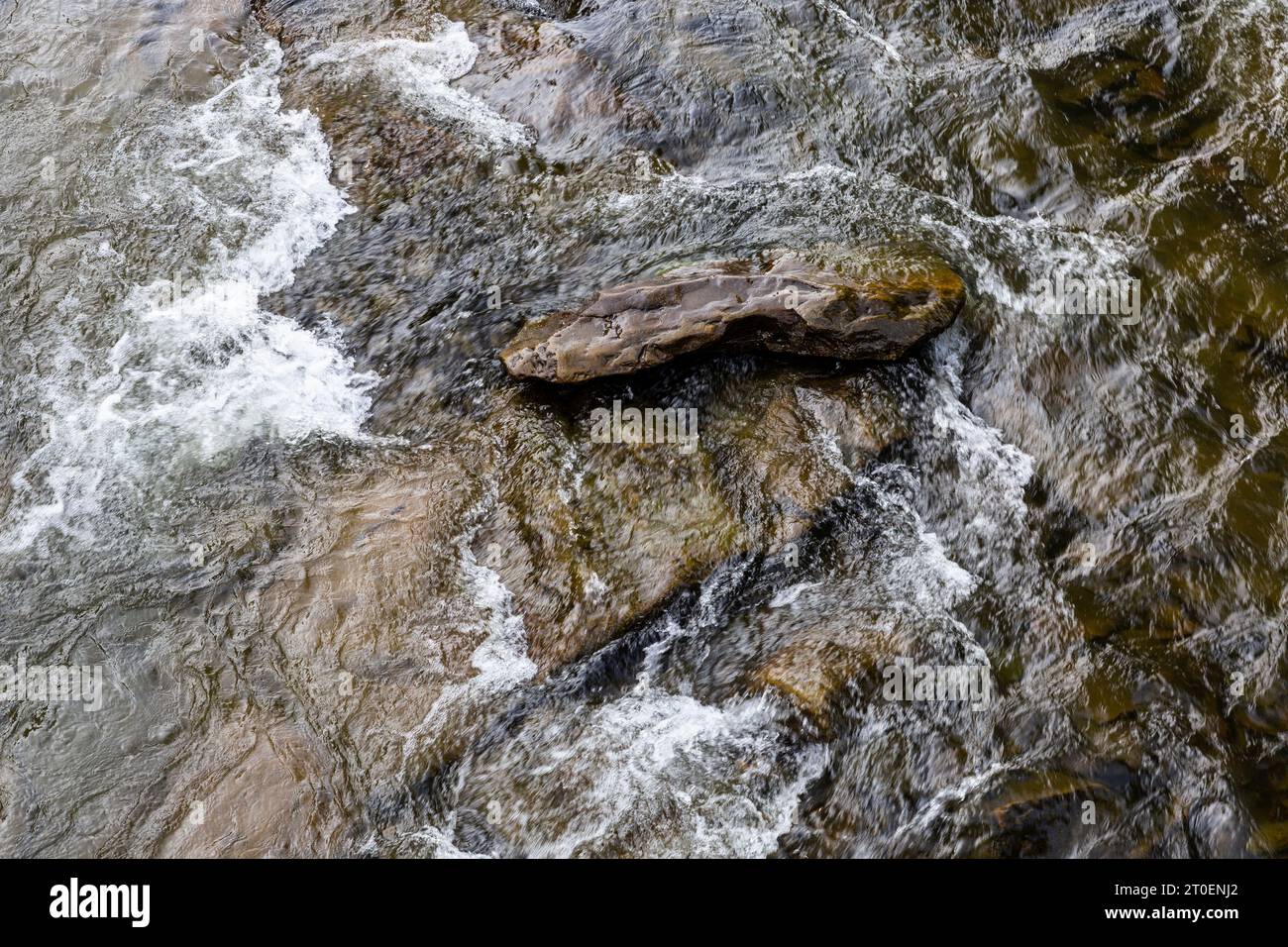 Europe, Poland, Podkarpackie Voivodeship, Bieszczady, San river Stock ...