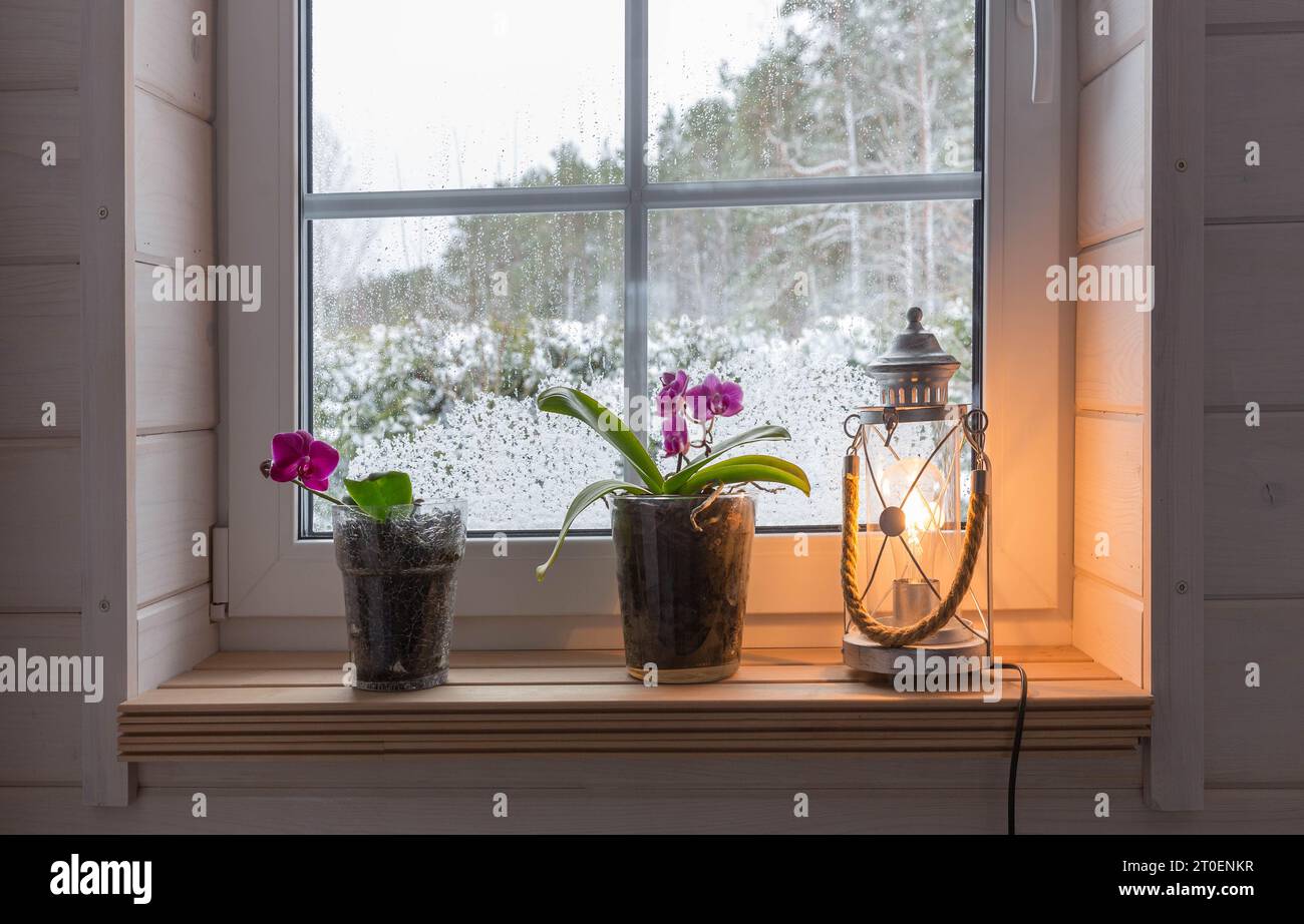 Looking window cozy home snowy hi-res stock photography and images - Alamy