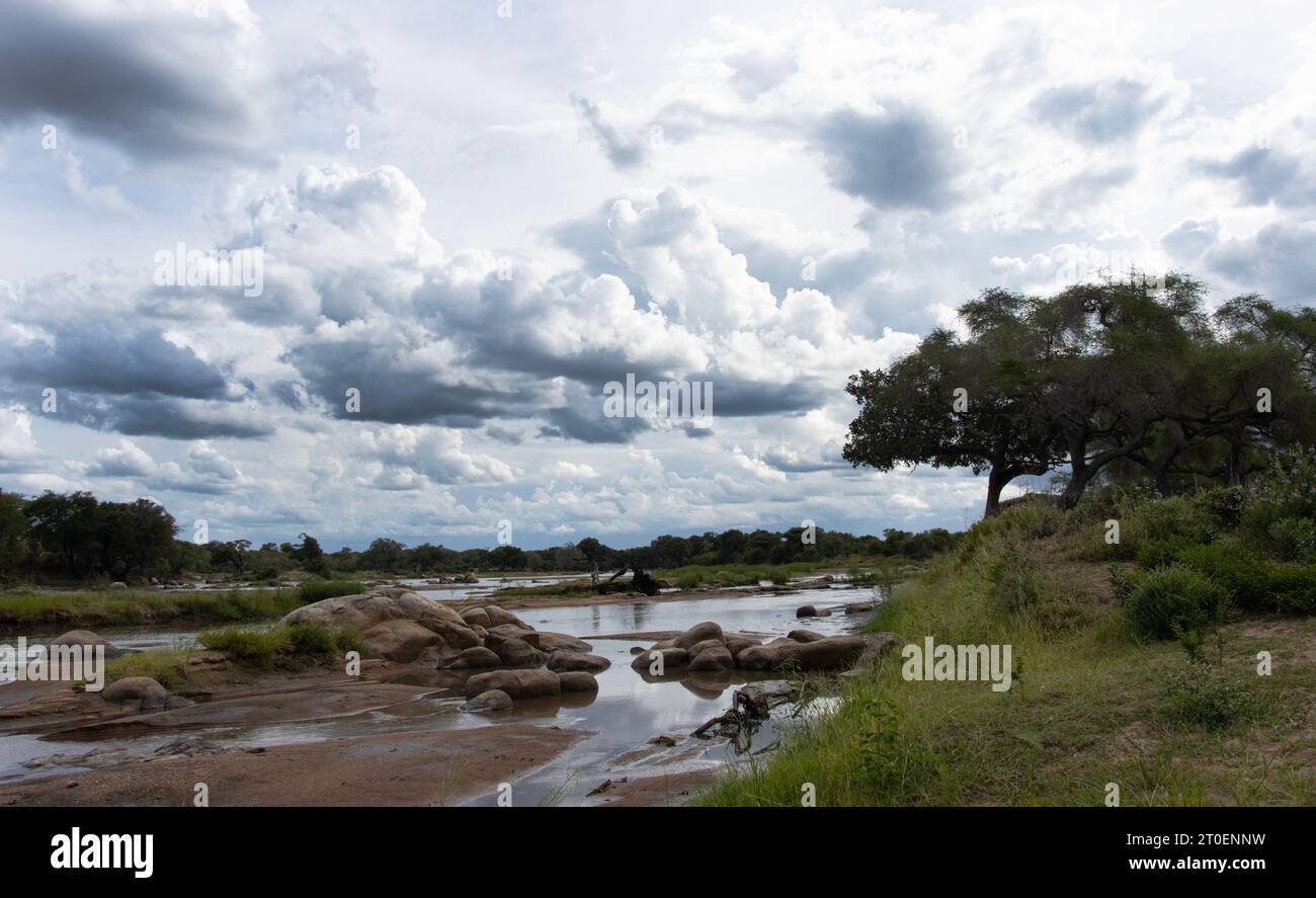 The Great Ruaha River starts to flow after the rains have commenced ...
