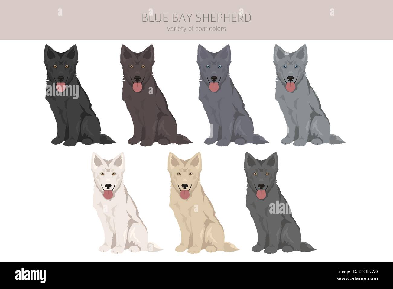 Blue Bay Shepherd clipart. Blue Shepherd wolf dog mix. Different coat ...