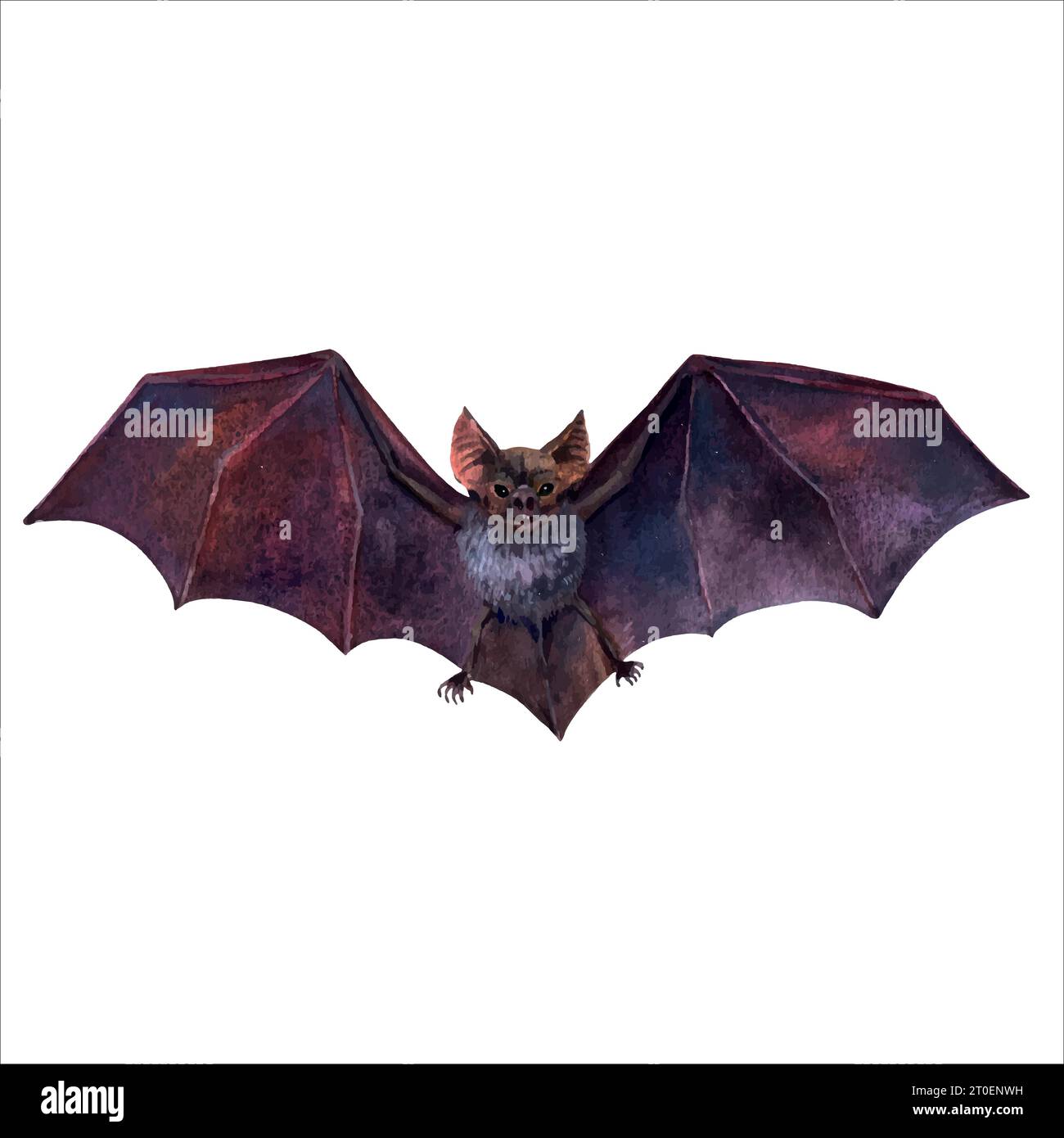 Watercolor single Bat animal isolated on a white background, vector ...
