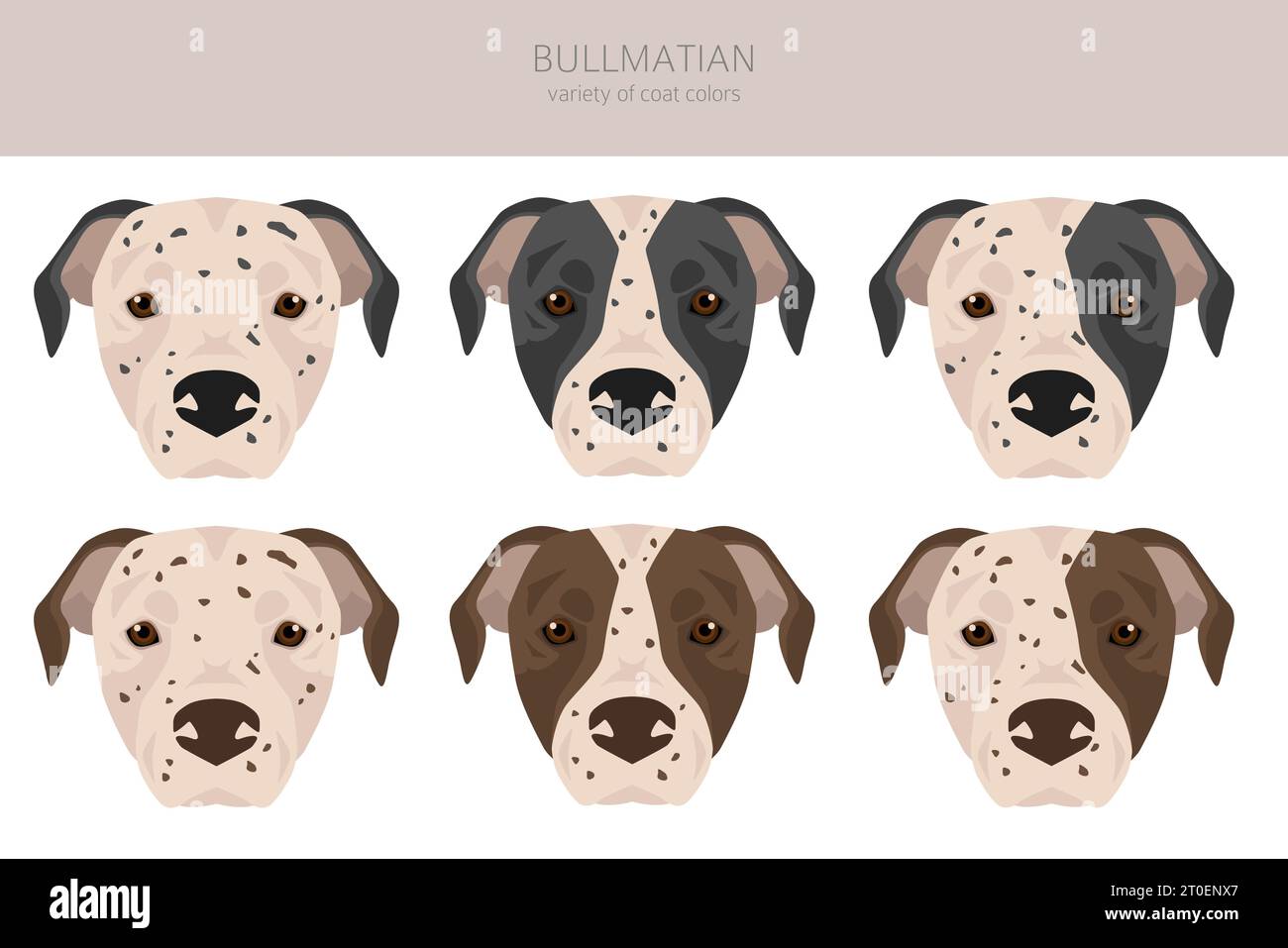 Bullmation