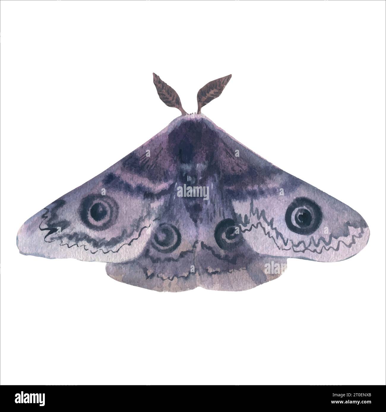 Watercolor grey moth with eyes on wings or night butterfly isolated on ...