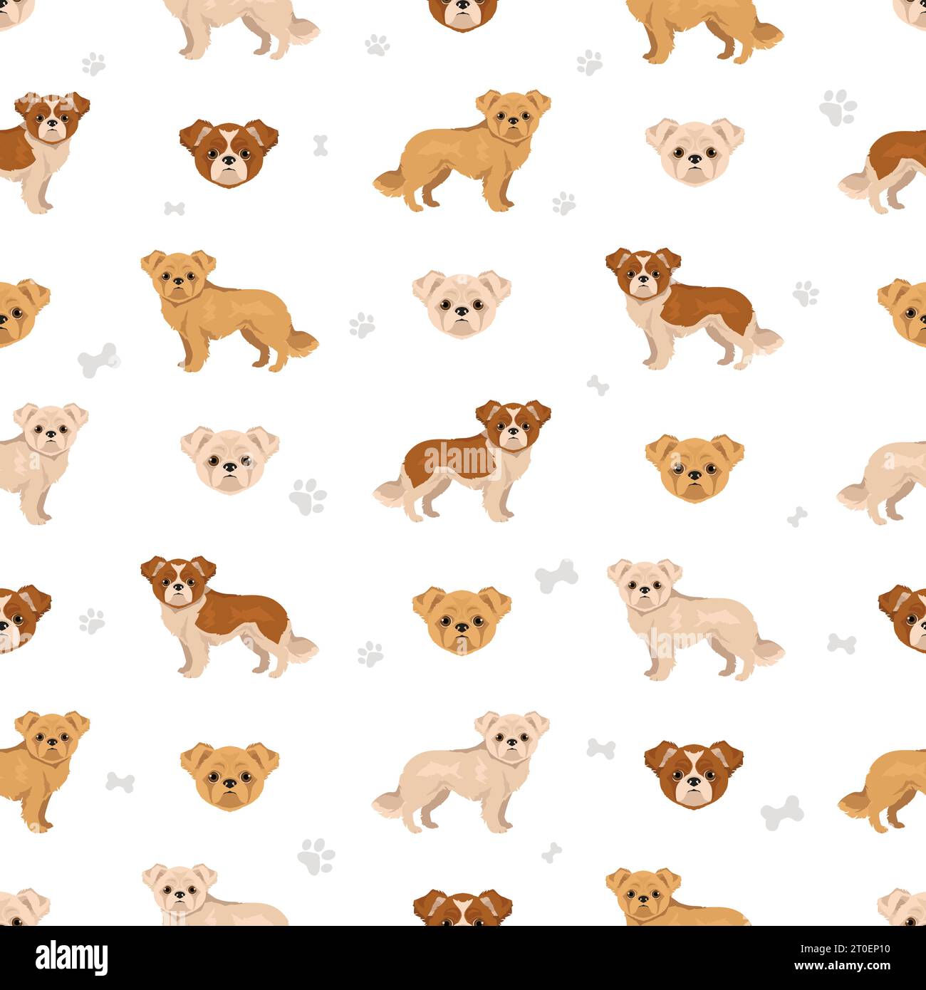 Cheeks seamless pattern. Chihuahua Pekingese mix. Different coat colors ...