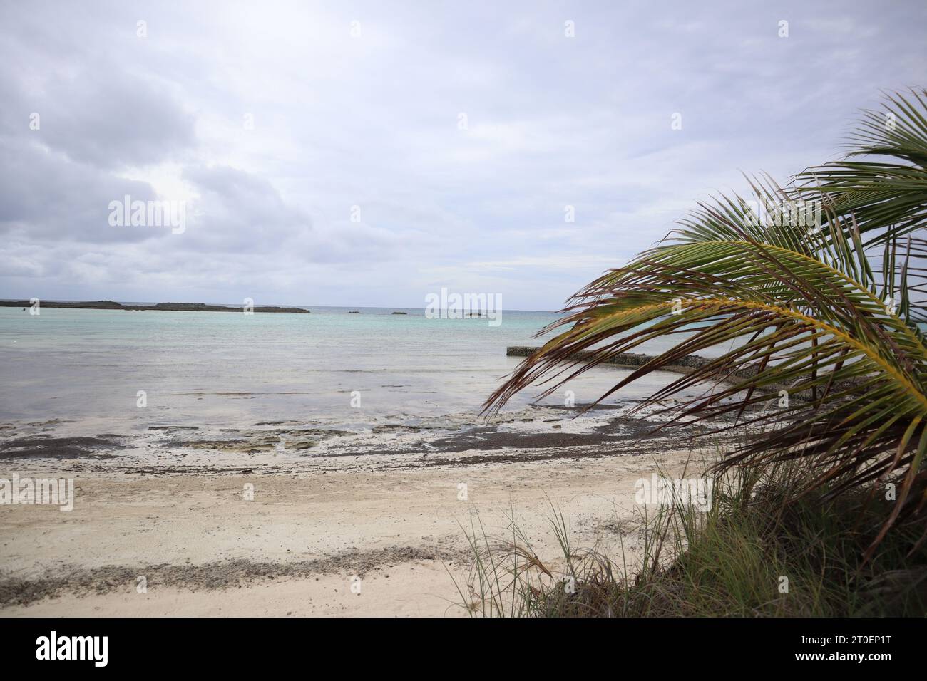 Grand Bahama Beach Stock Photo - Alamy