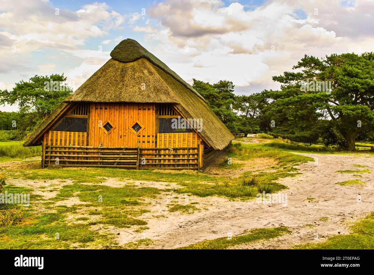 Sheep in heath hi-res stock photography and images - Alamy