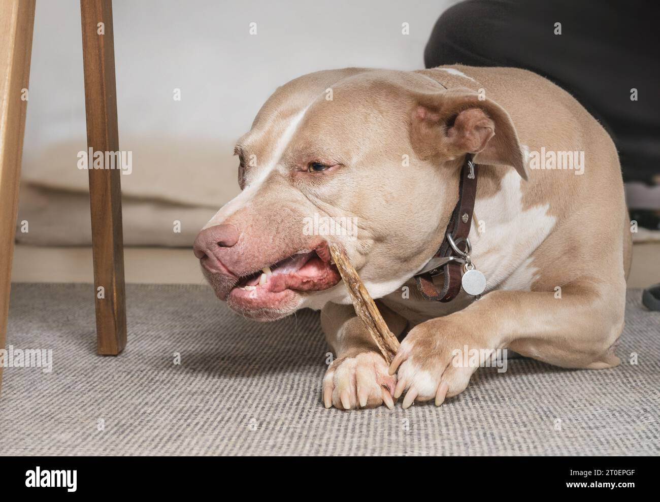 Dry mouth senior hi-res stock photography and images - Alamy