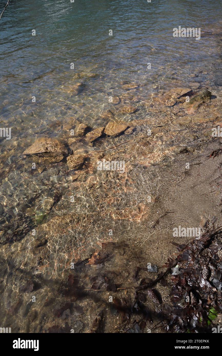 Clear Water on the Lakeshore Stock Photo - Alamy
