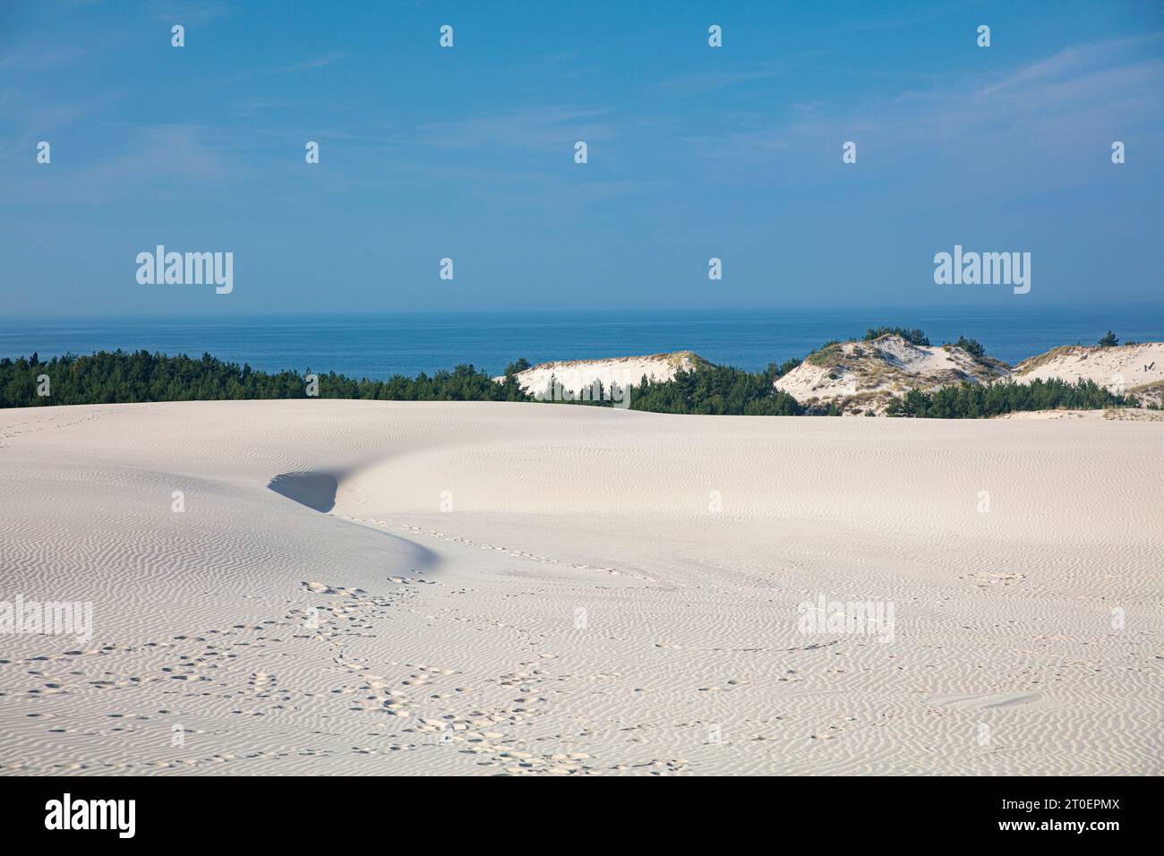 Sea sand and forest hi-res stock photography and images - Alamy