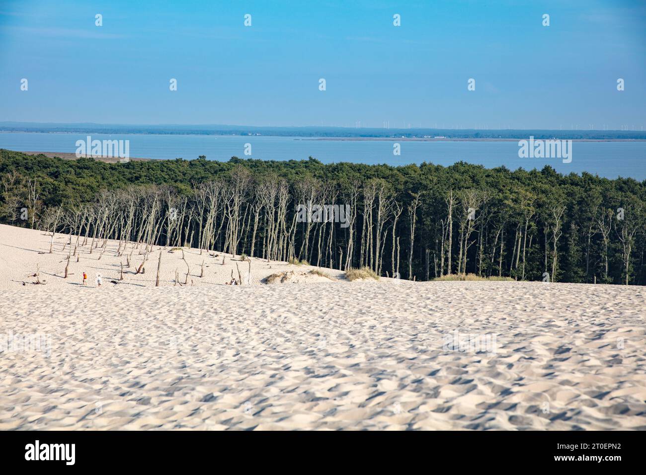 White dune sand hi-res stock photography and images - Alamy