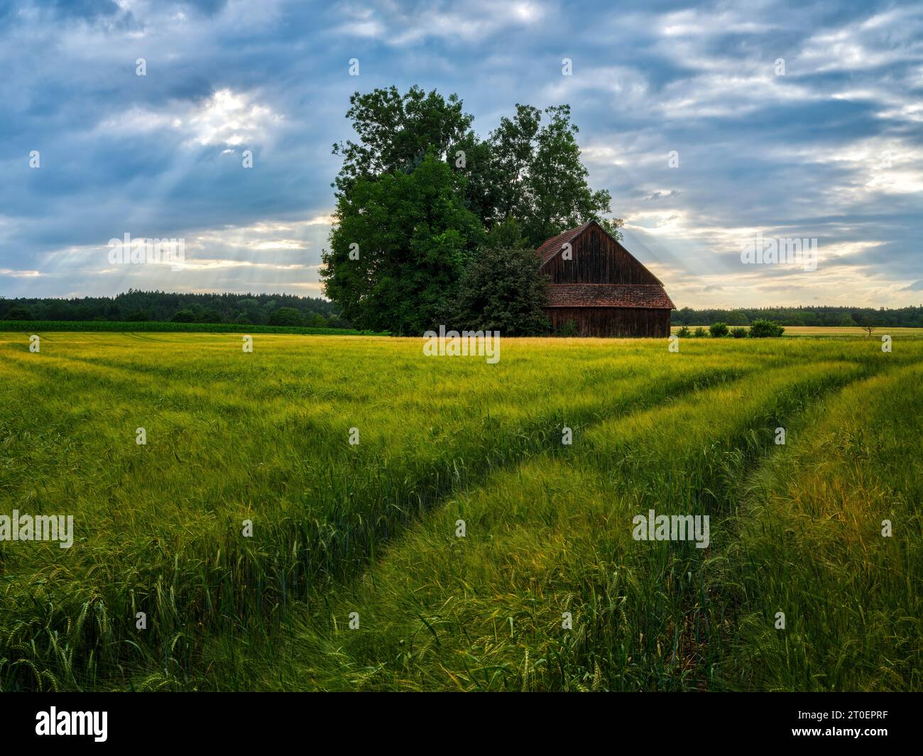 Fields in the Five Lakes Region Stock Photo - Alamy