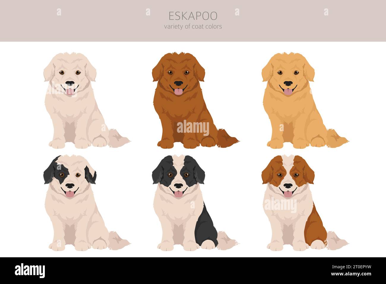 Eskapoo clipart. Eskimo dog Poodle mix. Different coat colors set ...