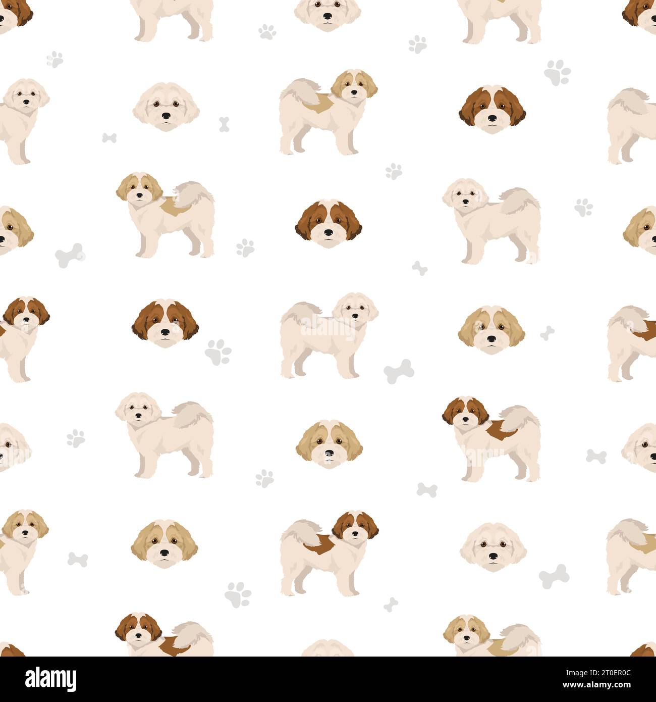 La-Chon seamless pattern. Lhasa Apso Bichon Frise mix. Different coat ...