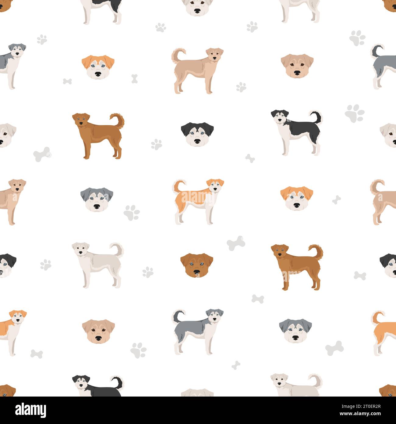 Labrador Husky mix seamless pattern. Labrador Retriever Siberian Husky ...