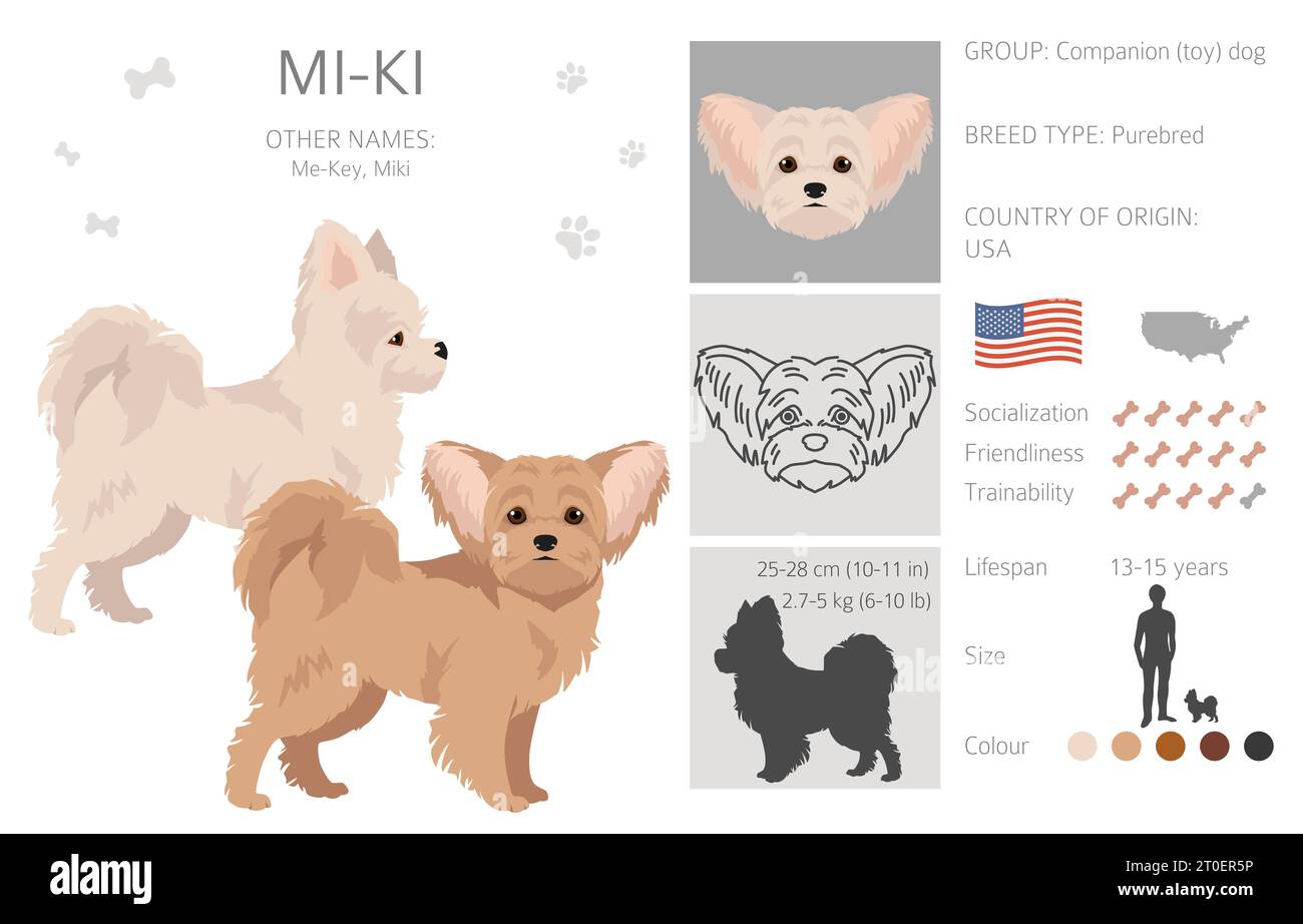 Mi ki Cut Out Stock Images & Pictures - Alamy